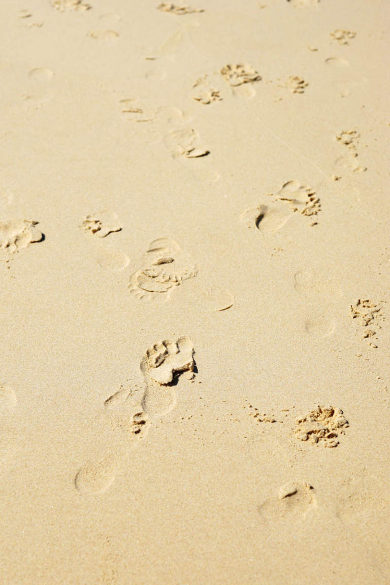 Beach background images that you can use for free – TECHNOBABBLE