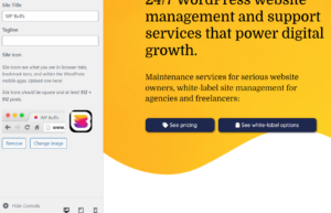 Step-by-Step Guide to Adding and Changing a Favicon in WordPress ...